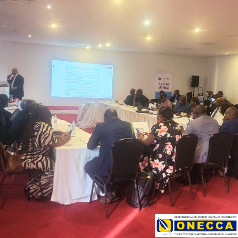 Ordre National des Experts-Comptables du Cameroun (ONECCA)
